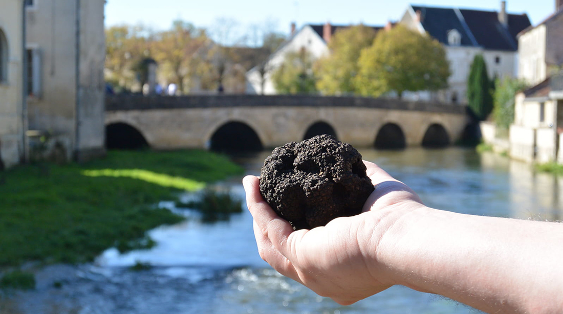 La Route de la Truffe de Bourgogne | Site des professionnels du ...